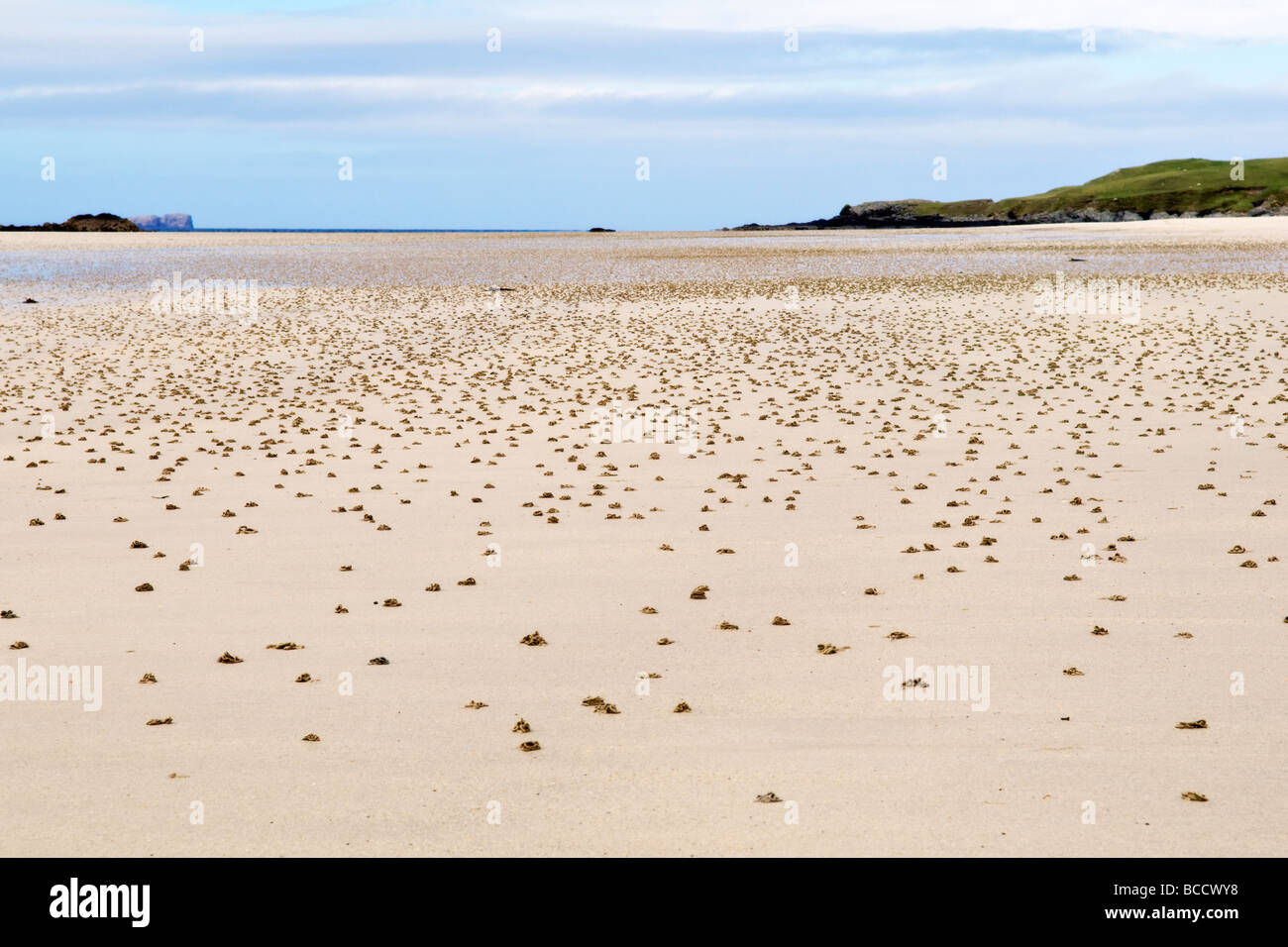 Sandy uk beach at Balnakeil Bay Scotland covered in lugworm sand casts ...