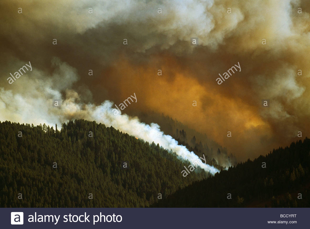Gallatin Canyon Stock Photos & Gallatin Canyon Stock Images - Alamy