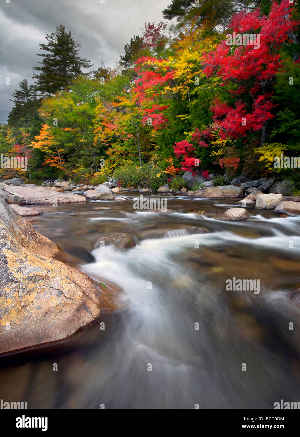 SWIFT RIVER and fall foliage. White Mountains. New Hampshire. USA Stock ...