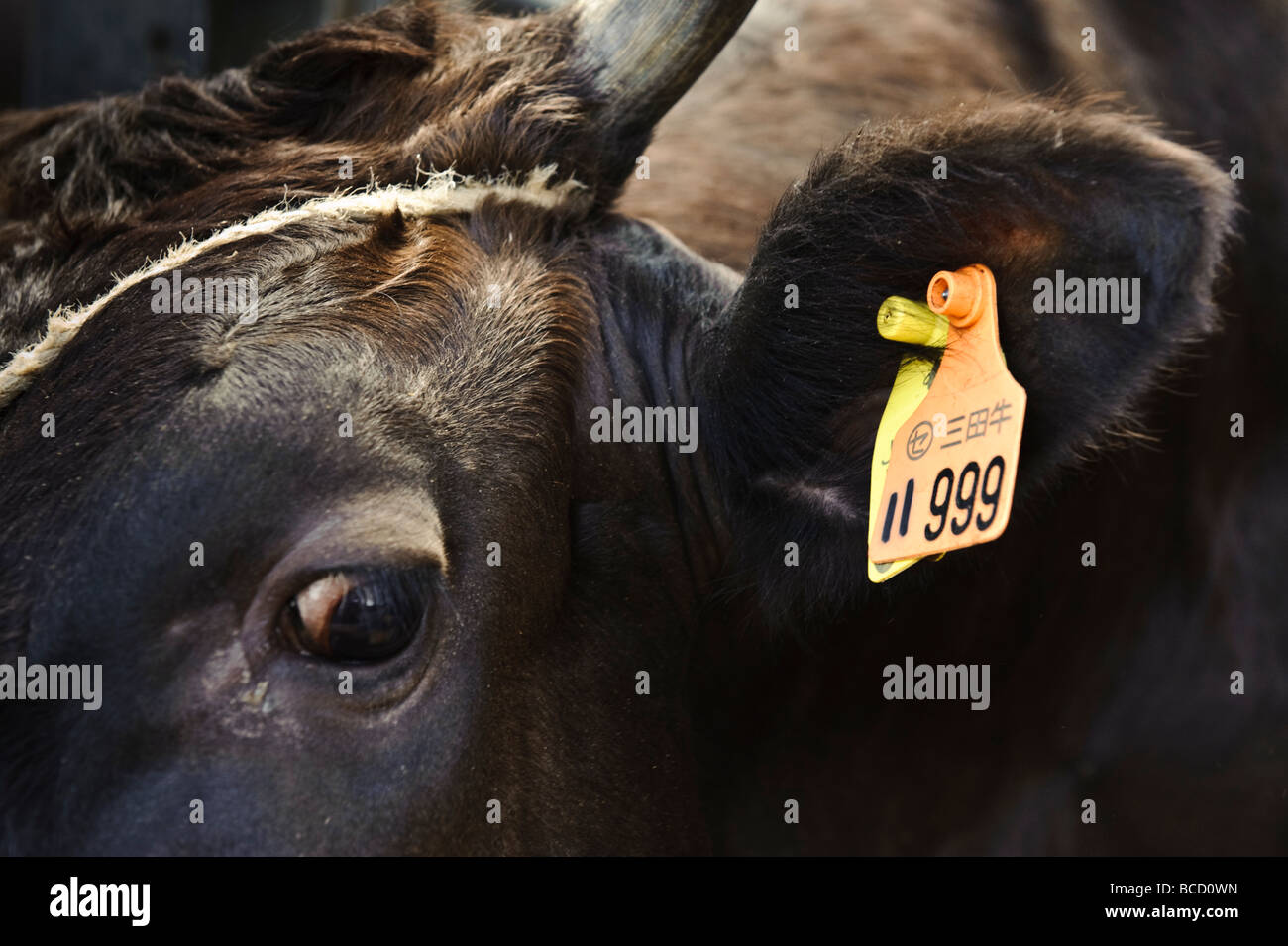 25 june 2009 hi-res stock photography and images - Alamy