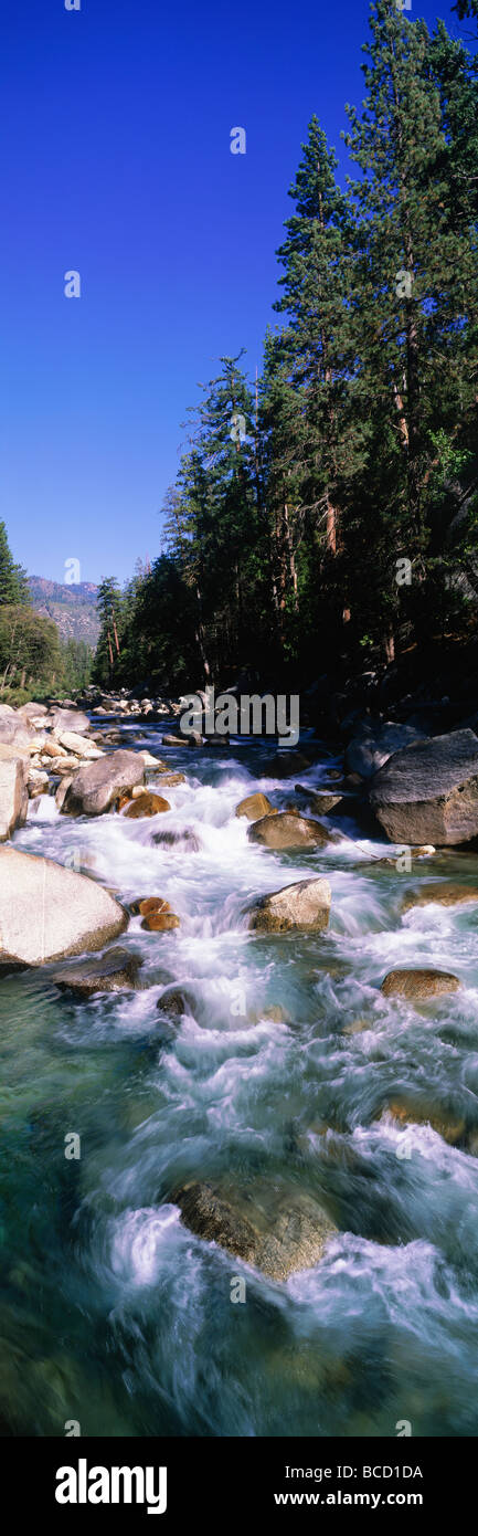 Kings river hi-res stock photography and images - Alamy