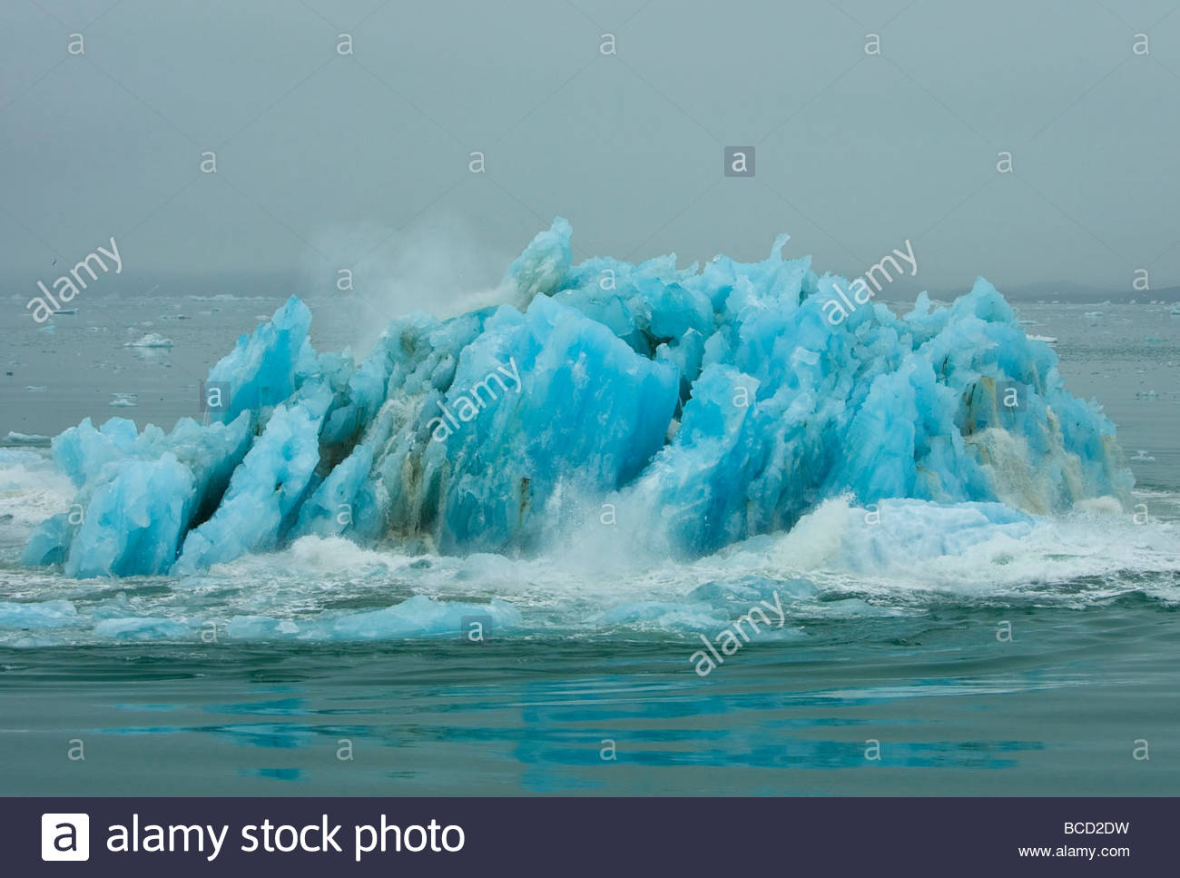 Blue iceberg rolling, Lilliehook Fjord, valbard, Norway Stock Photo - Alamy
