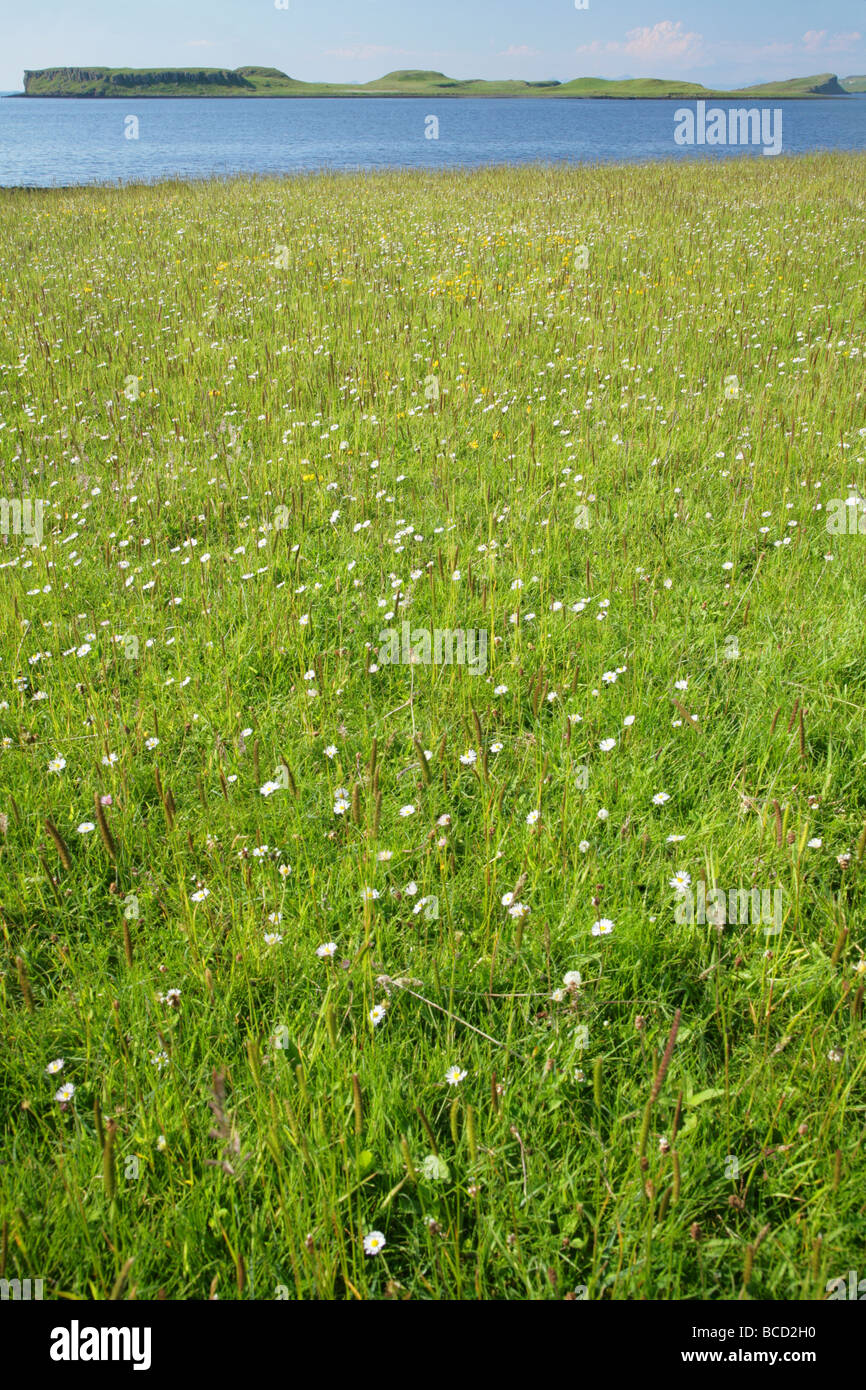 Isay island hi-res stock photography and images - Alamy