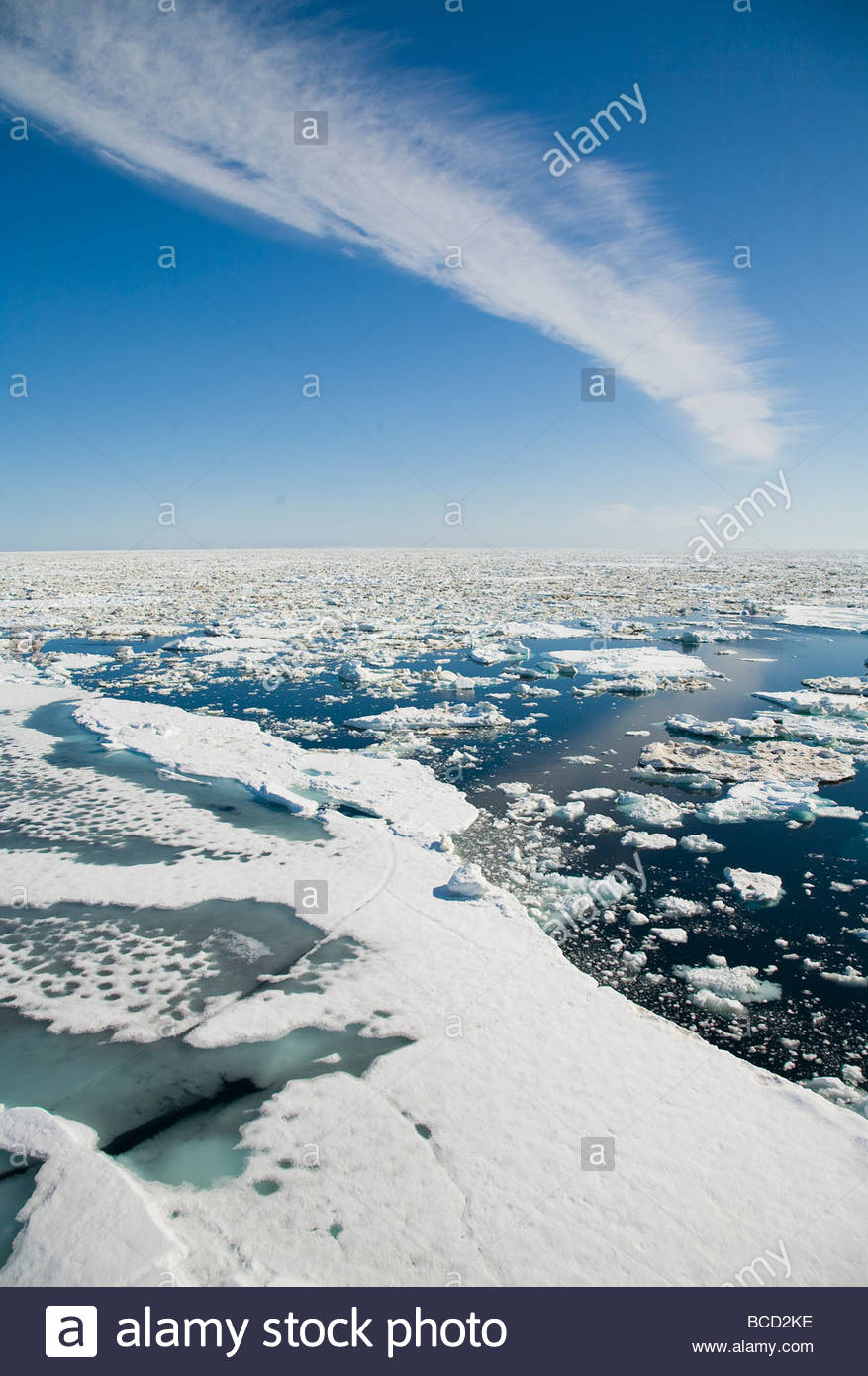Pack ice, Svalbard, Norway Stock Photo - Alamy