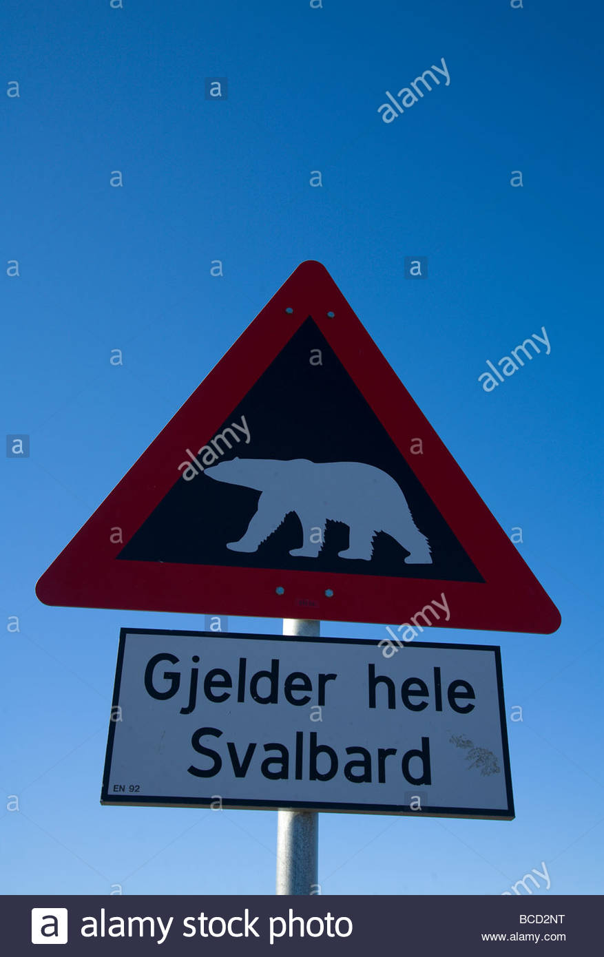 Polar Bear Crossing Sign, Longyearbyen, Svalbard, Norway Stock Photo ...