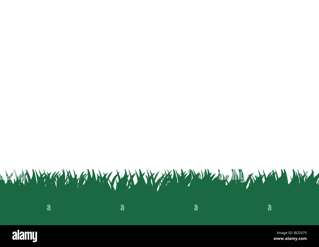 Green grass background isolated on white with copy space Stock Photo ...