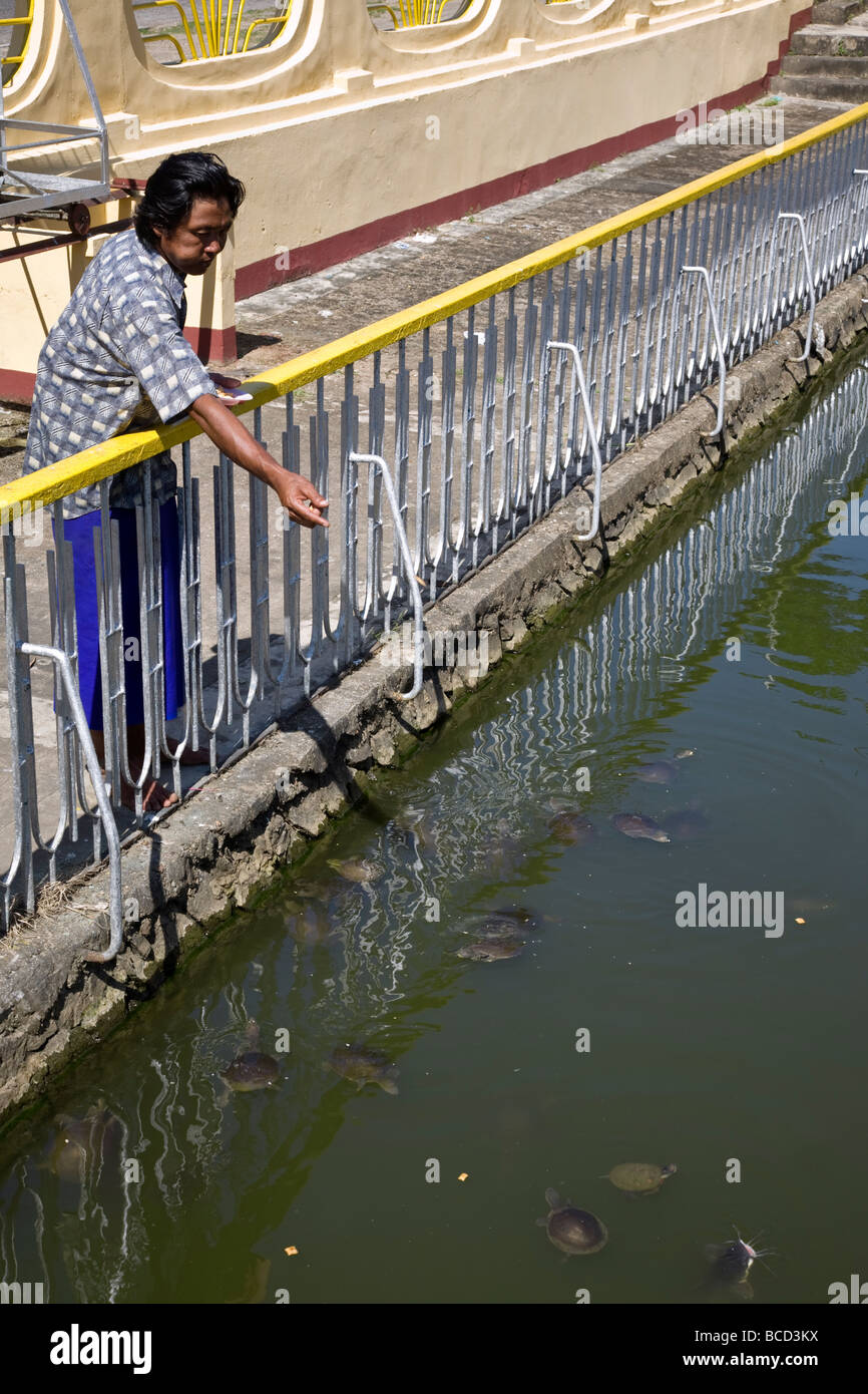 Burmese reptile hi-res stock photography and images - Alamy