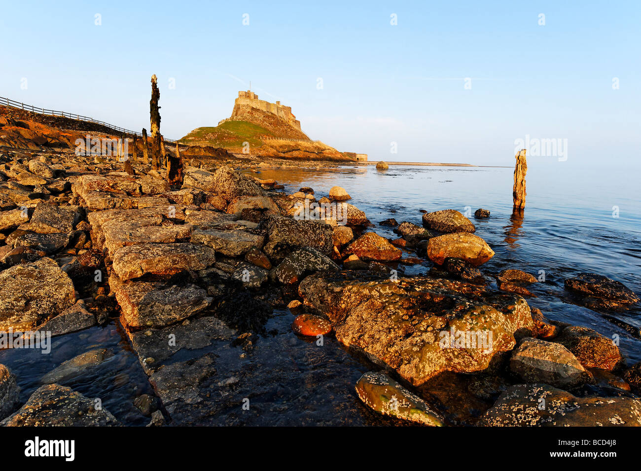 Lindisfarne Castle on Holy Island viewed from the shoreline Stock Photo ...