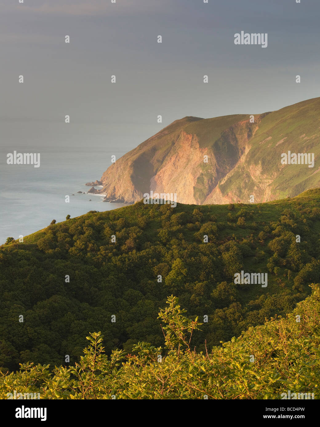 Cliffs at Lynmouth with woods in the foreground Stock Photo - Alamy