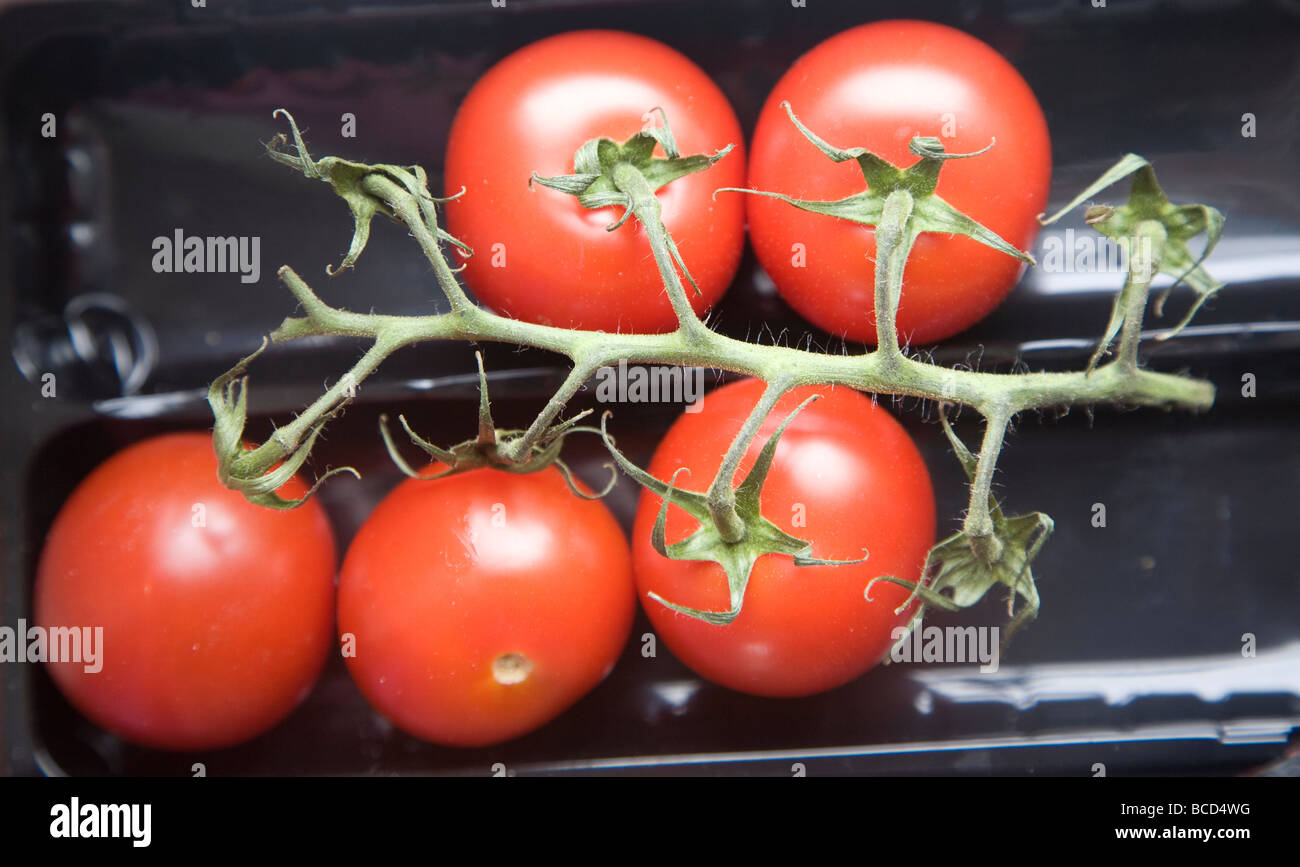 Vine tomatoes hi-res stock photography and images - Alamy