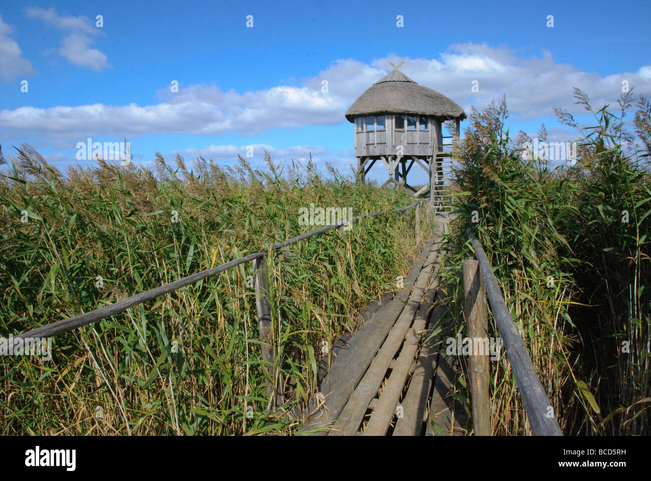 Birdwatching tower in Pape nature park Stock Photo - Alamy