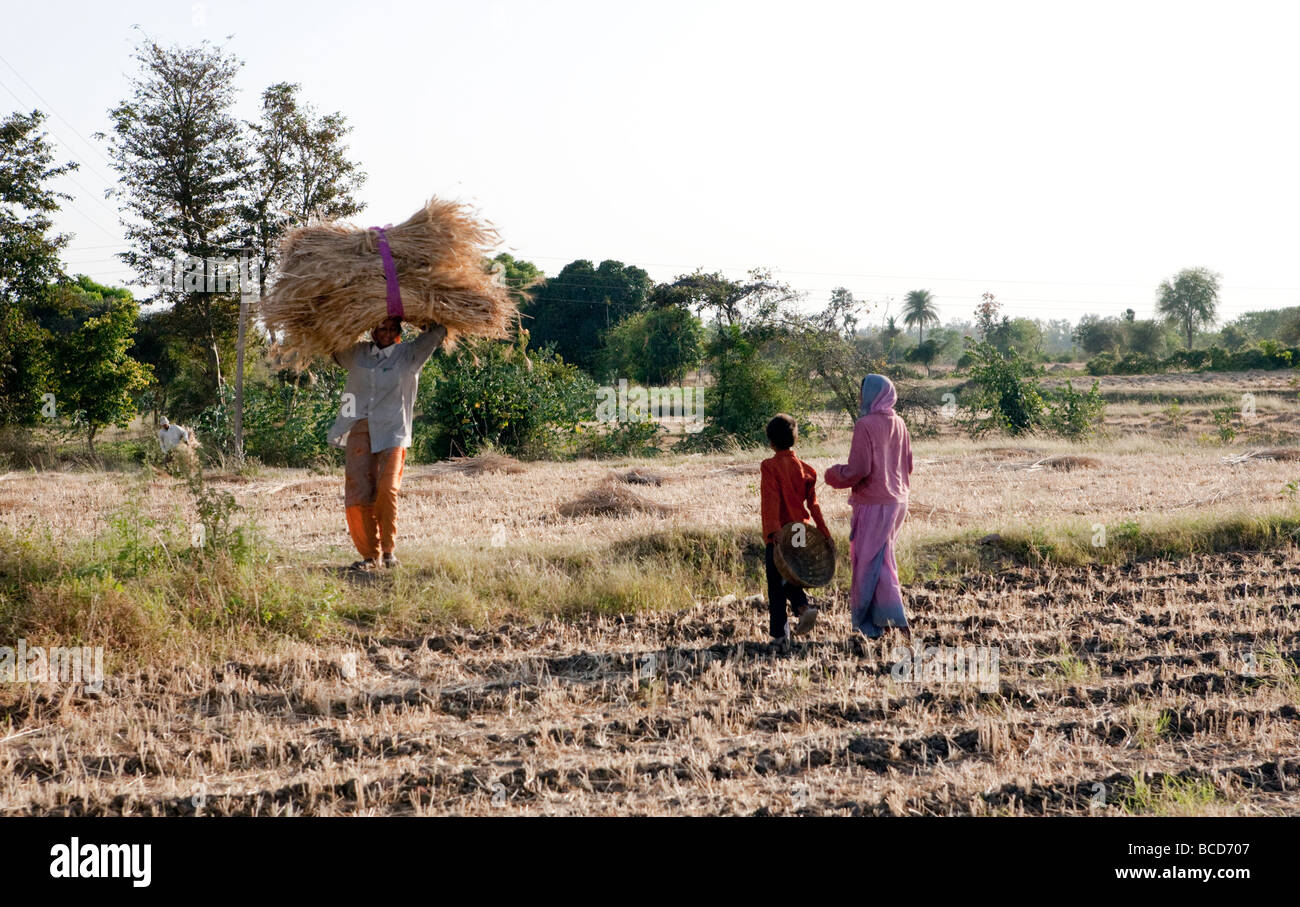 Indian farming country hi-res stock photography and images - Alamy