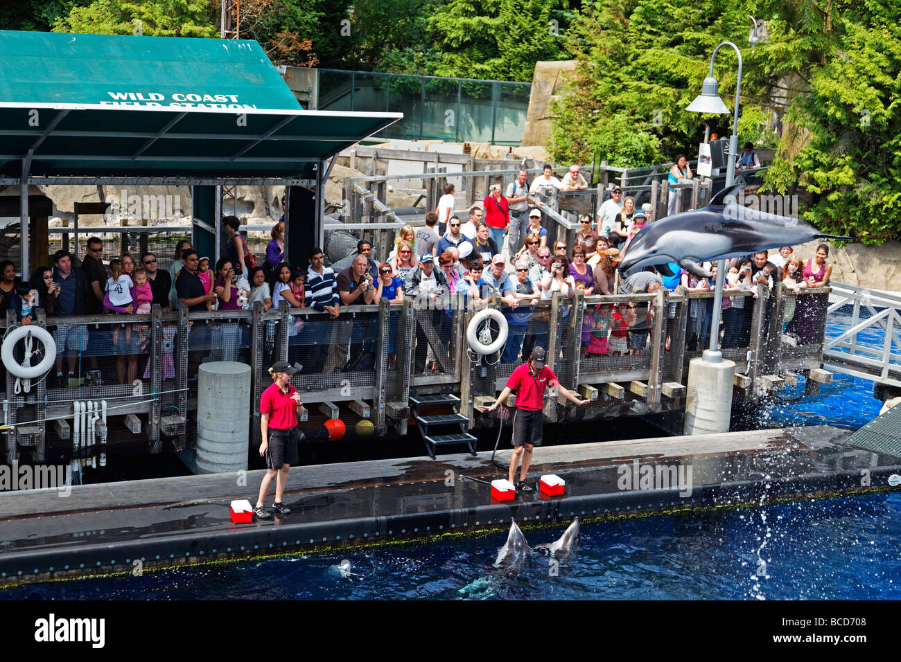 Dolphin show in Aquarium in Vancouver City Stanley Park Canada North ...