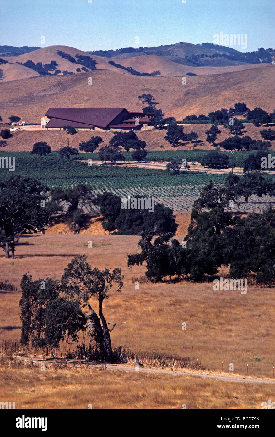 Overview of FIRESTONE VINEYARD CALIFORNIA Stock Photo - Alamy