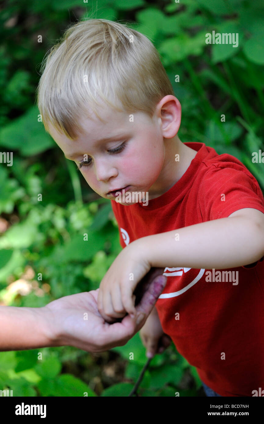 Little child blond Boy Eating Blueberries with mother in forest Stock ...