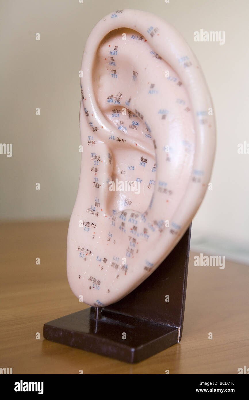 Acupuncture meridians High Resolution Stock Photography and Images - Alamy