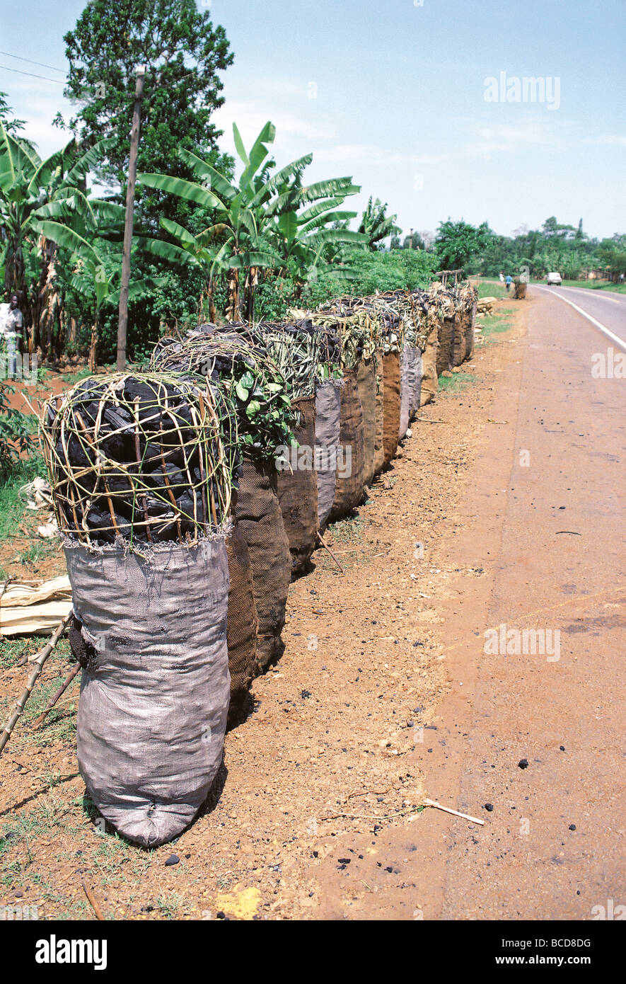 Charcoal sacks awaiting collection from side of Kampala Jinja road ...