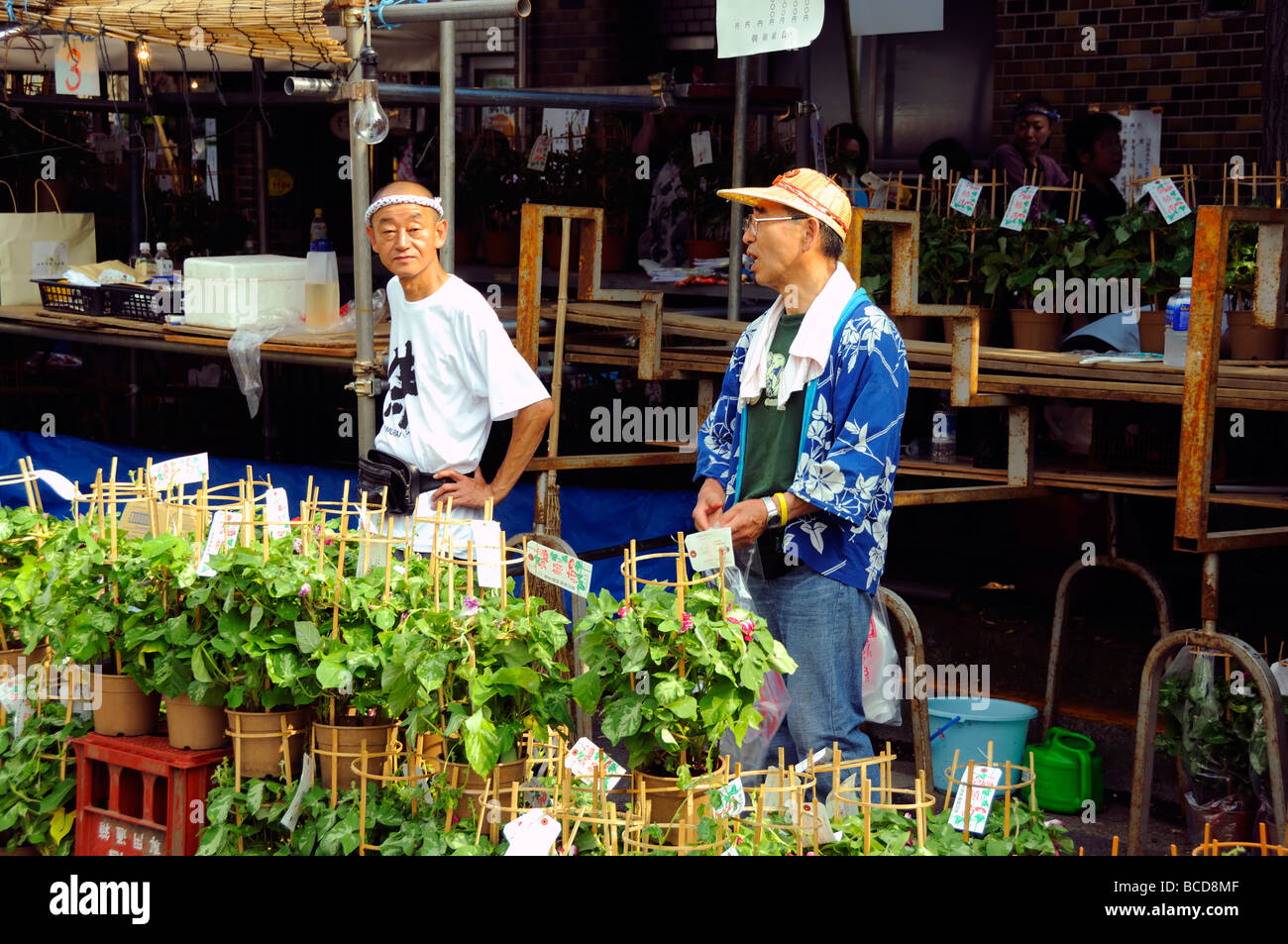 flower market Tokyo Japan Stock Photo - Alamy