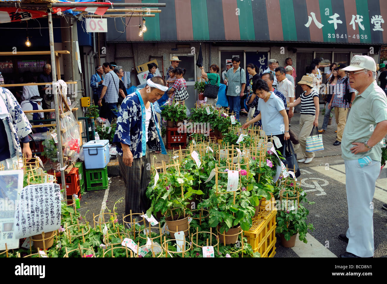 Seller and japanese people at flower market, Tokyo, Japan Stock Photo ...