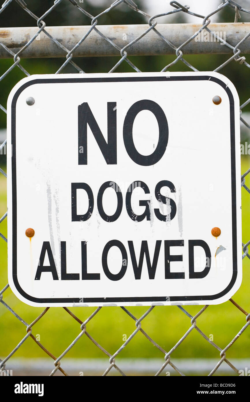 No Dogs Allowed sign on a fence Stock Photo - Alamy