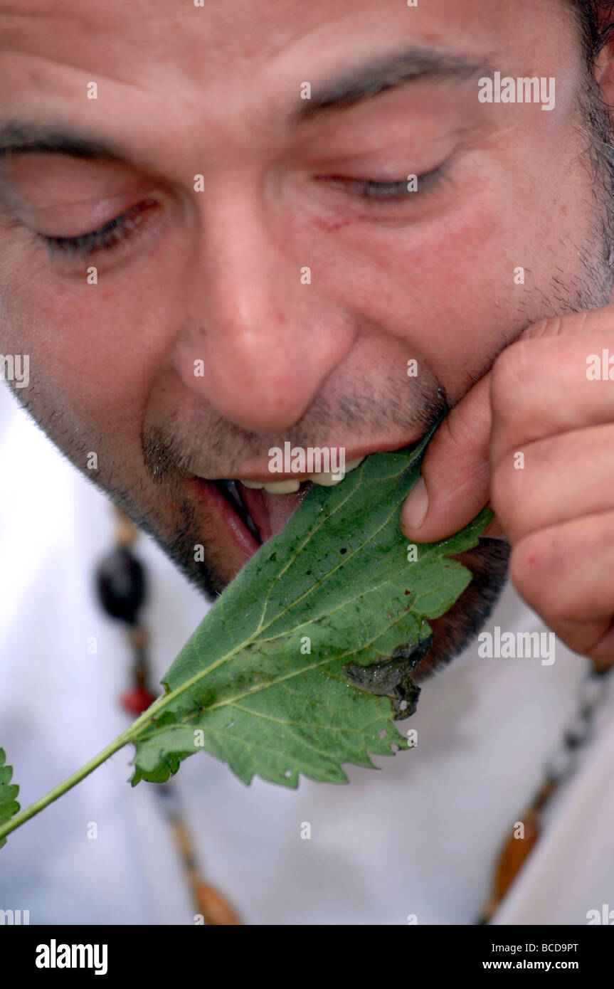 Nettle Eating Championships, Dorset, Britain Stock Photo - Alamy