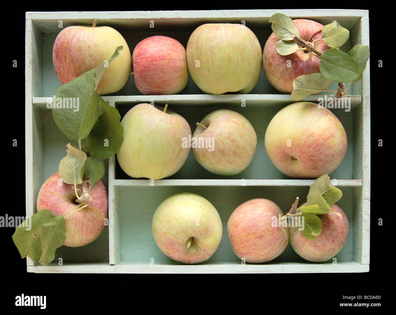 Fuji apples hi-res stock photography and images - Alamy