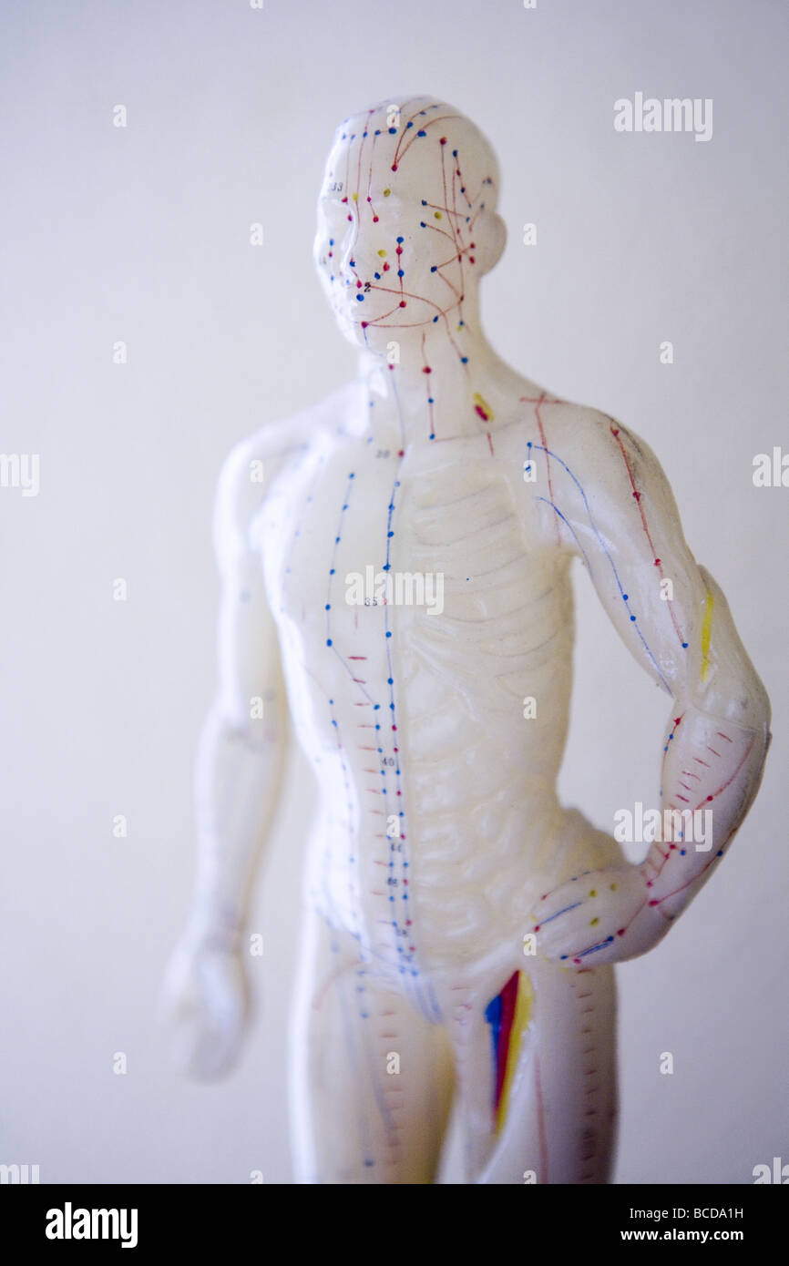 Acupuncture Body Model High Resolution Stock Photography and Images - Alamy