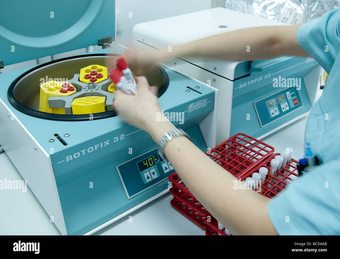 Woman sorting test tubes in a laboratory Stock Photo - Alamy