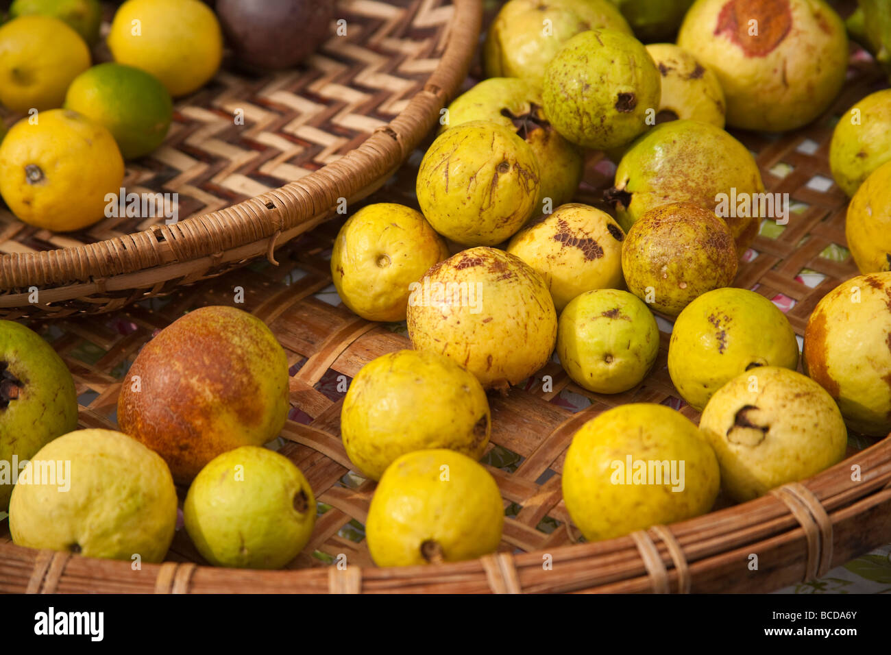 Guavas guava fruit hi-res stock photography and images - Alamy