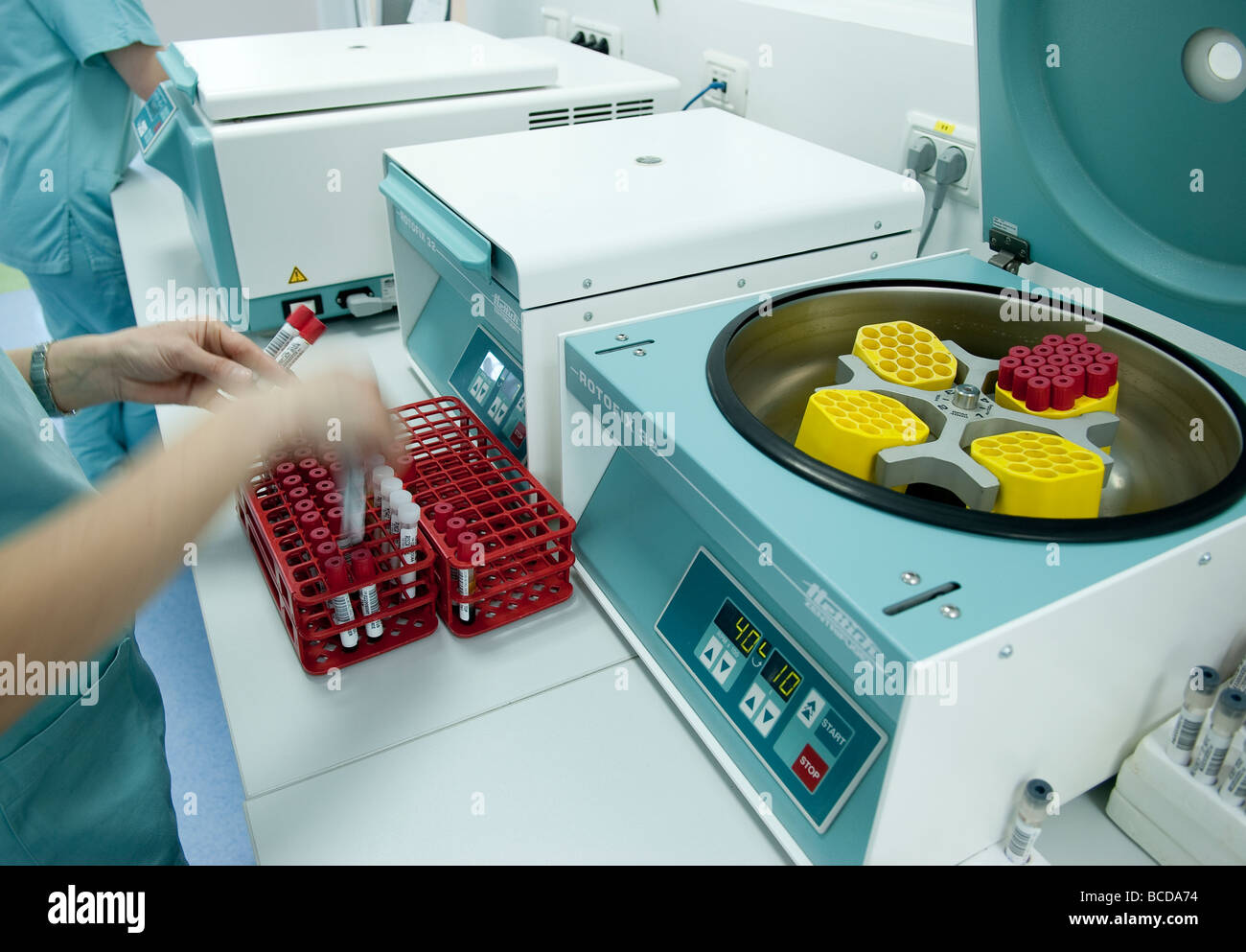 Woman sorting test tubes in a laboratory Stock Photo - Alamy