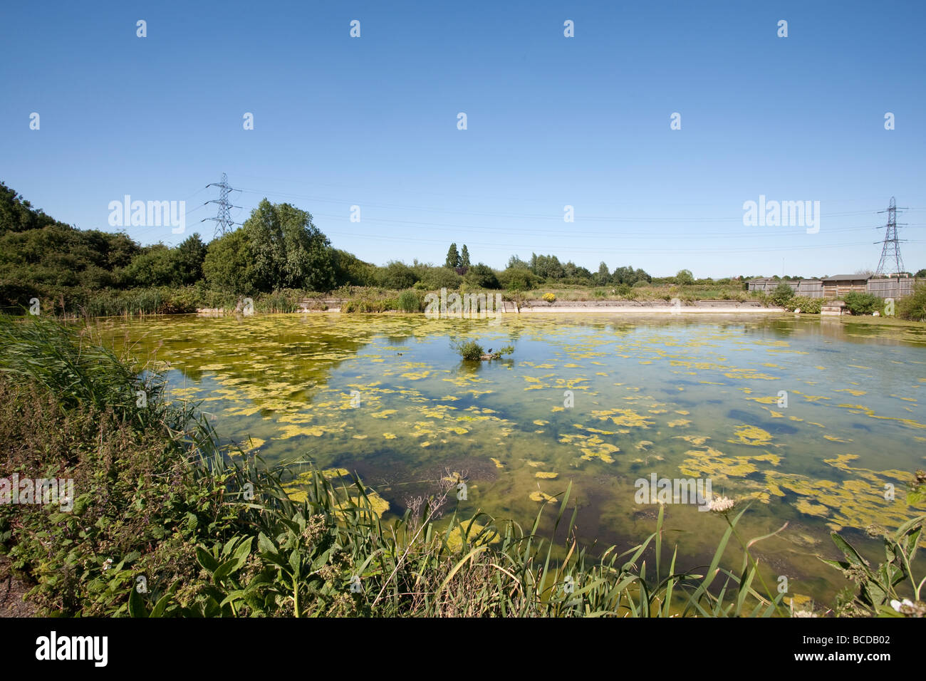 Valley london england uk hi-res stock photography and images - Alamy