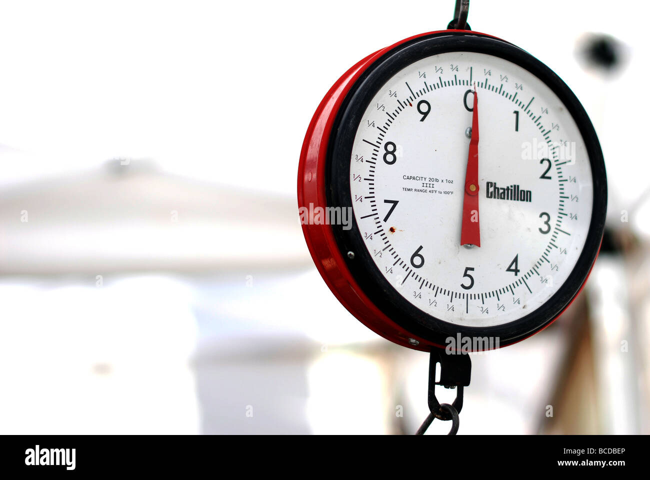 Colorful fruits and vegetables at the Evanston Farmers' Market. Scale ...