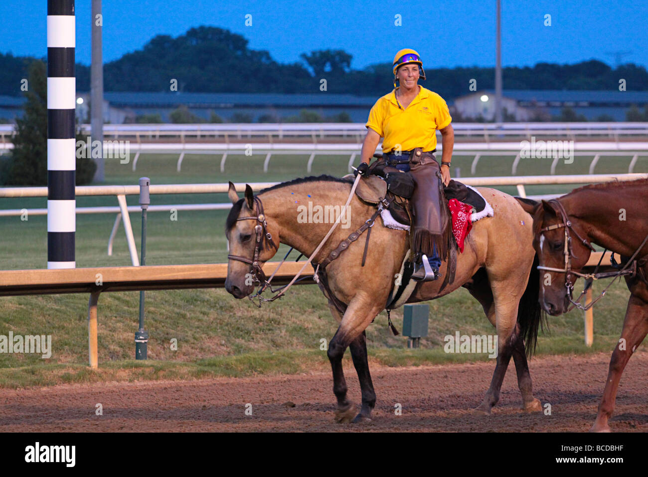 Horse trainer hi-res stock photography and images - Alamy