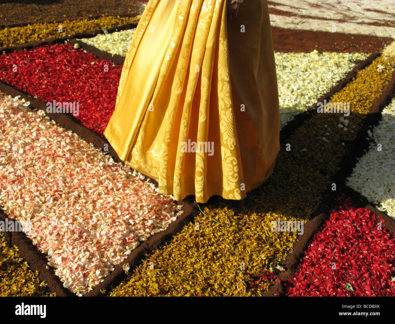 historic procession at carnival infiorata flowers petals designs ...