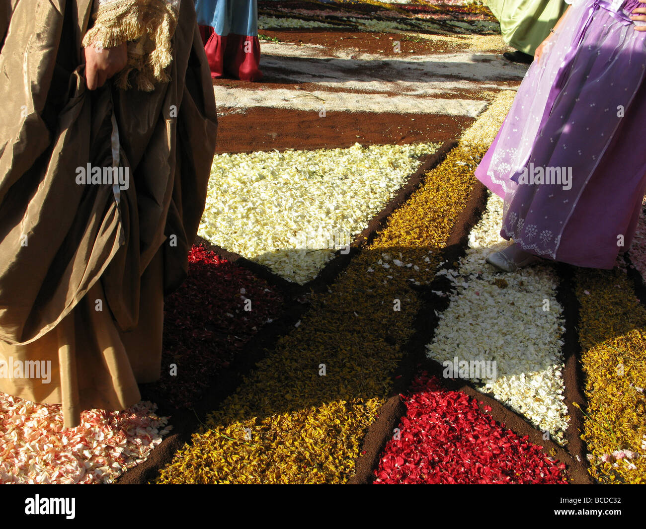 historic procession at carnival infiorata flowers petals designs ...
