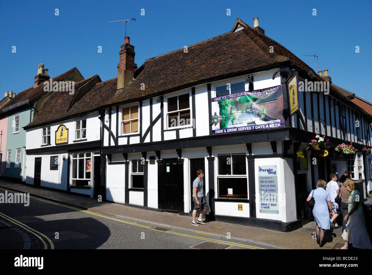 The Purple Dog pub in Eld Lane Colchester Essex England UK Stock Photo ...