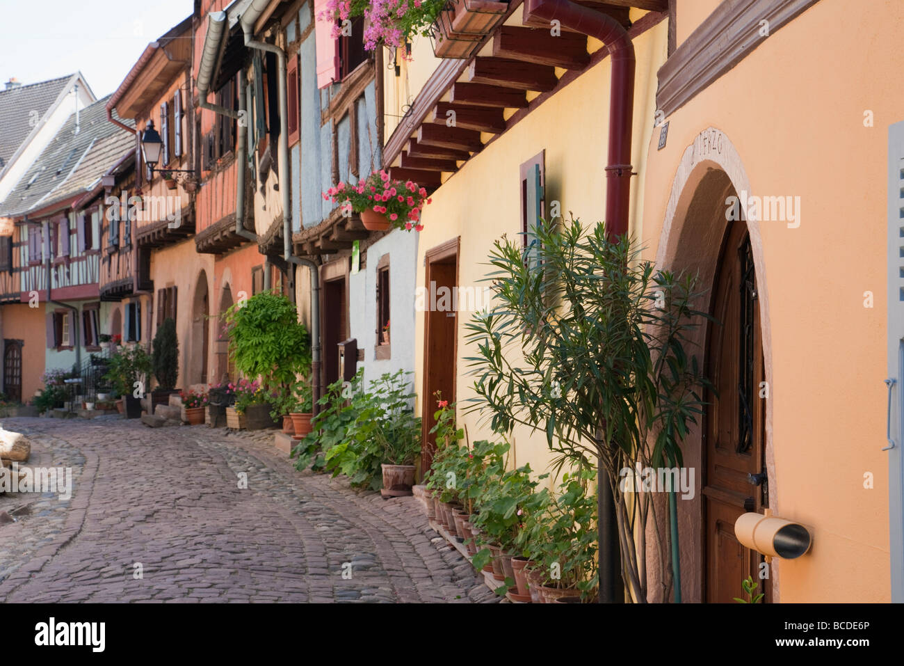 Colourful old half timbered buildings on narrow cobbled street in ...