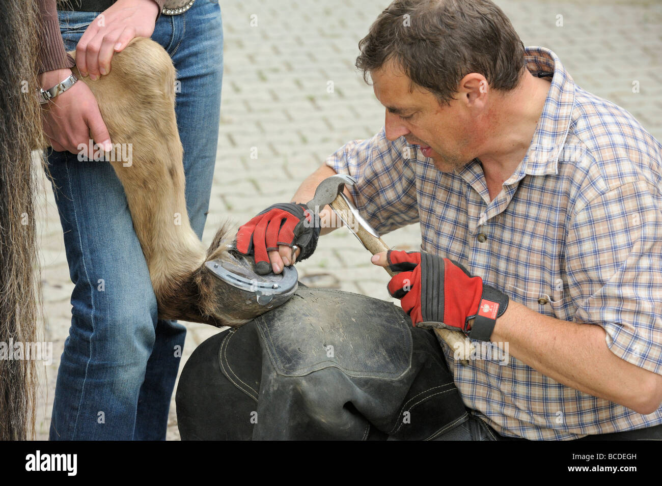 At the farrier Stock Photo - Alamy
