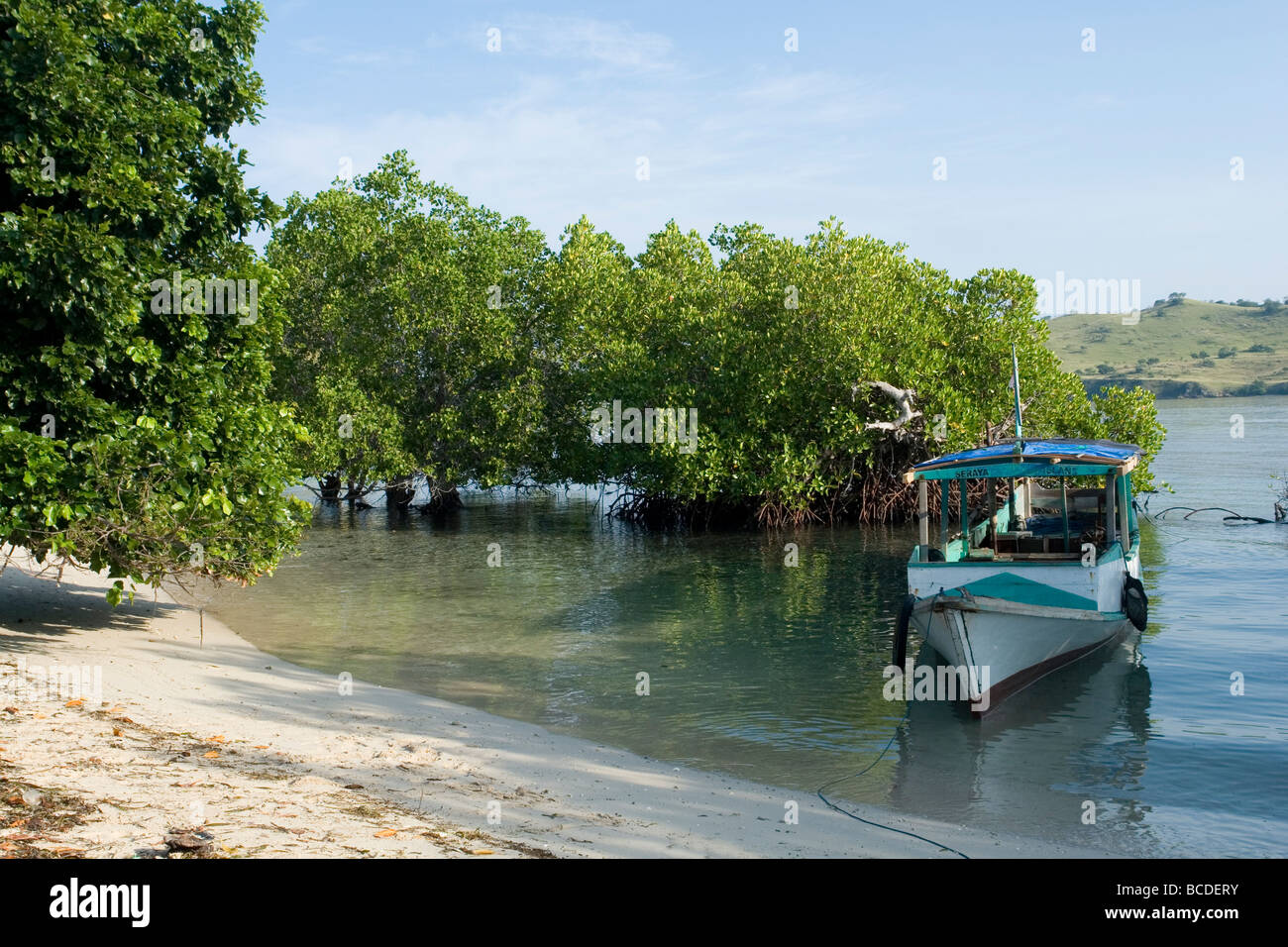 Plage de mangrove hi-res stock photography and images - Alamy