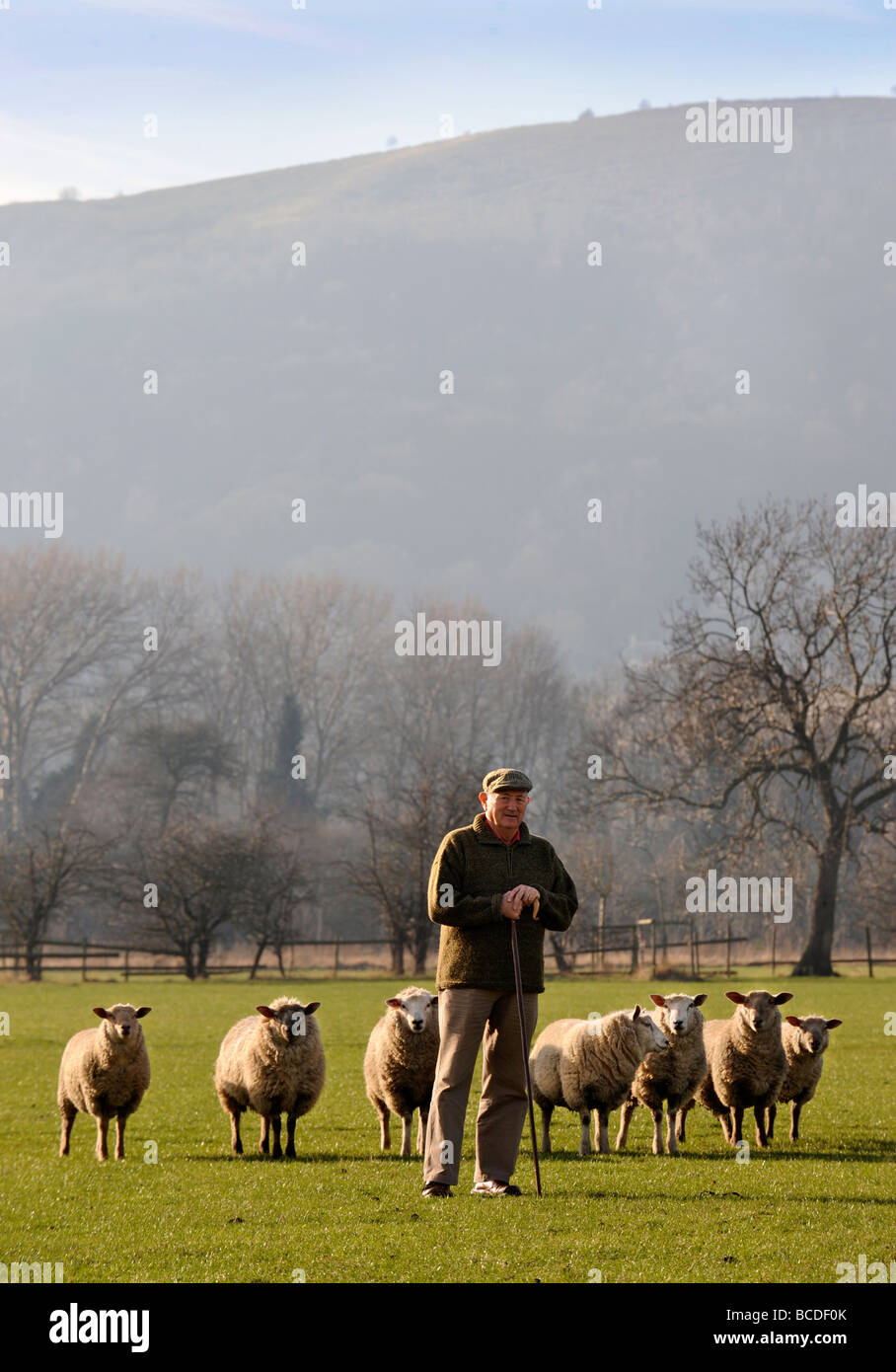 Sheep crook High Resolution Stock Photography and Images - Alamy