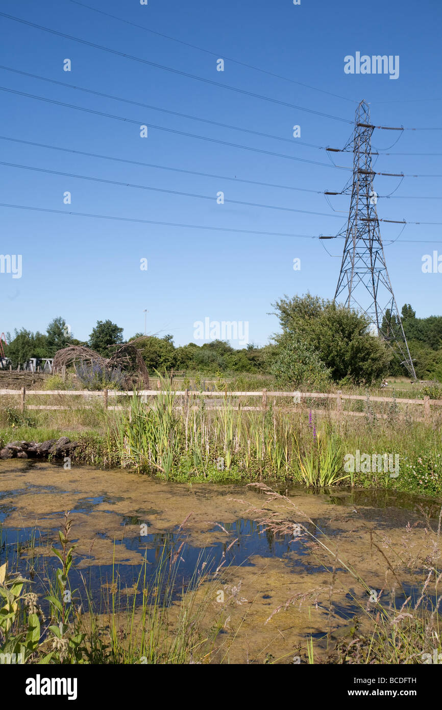 Lee Valley nature reserve, Lee Valley Regional Park, London, England ...