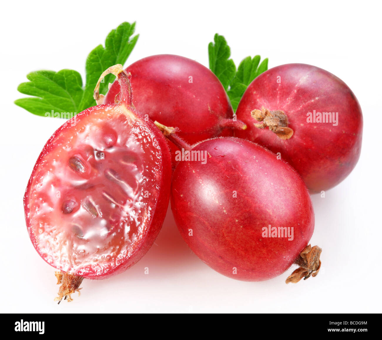 Gooseberry hi-res stock photography and images - Alamy