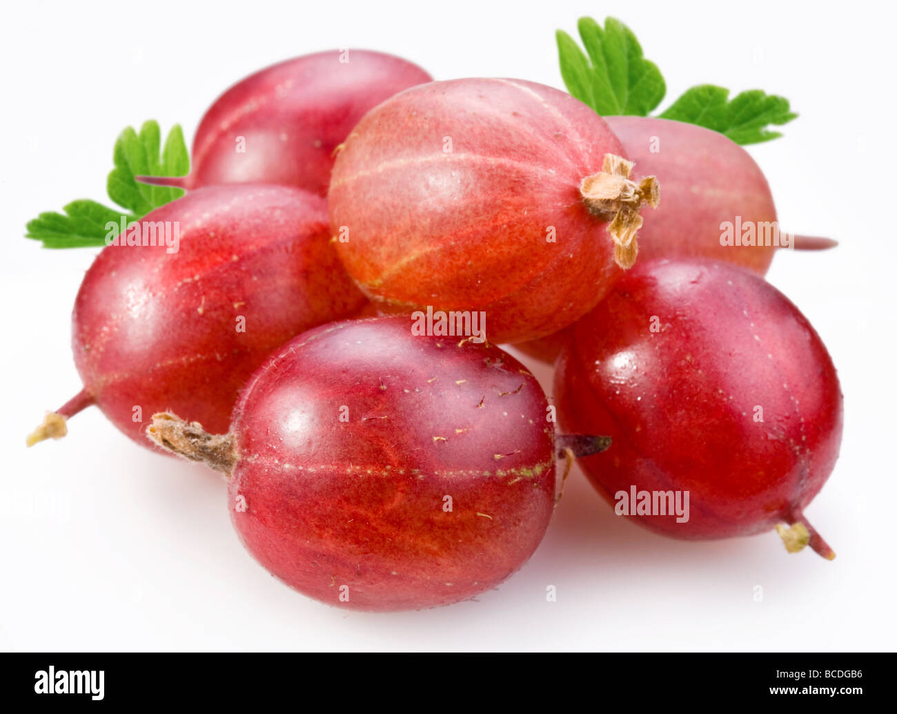 Gooseberry hi-res stock photography and images - Alamy