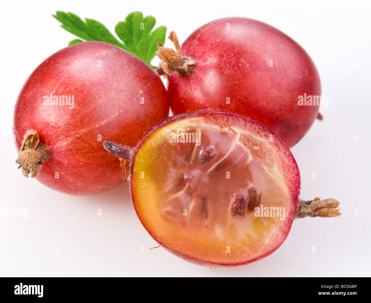 Gooseberry hi-res stock photography and images - Alamy