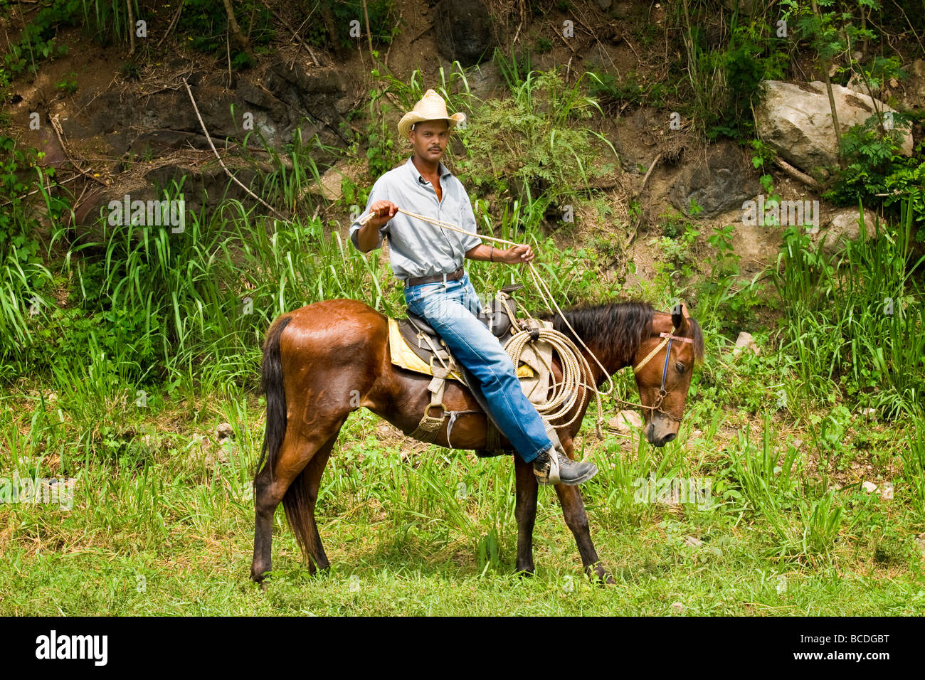 Farmers with cows latin america hi-res stock photography and images - Alamy