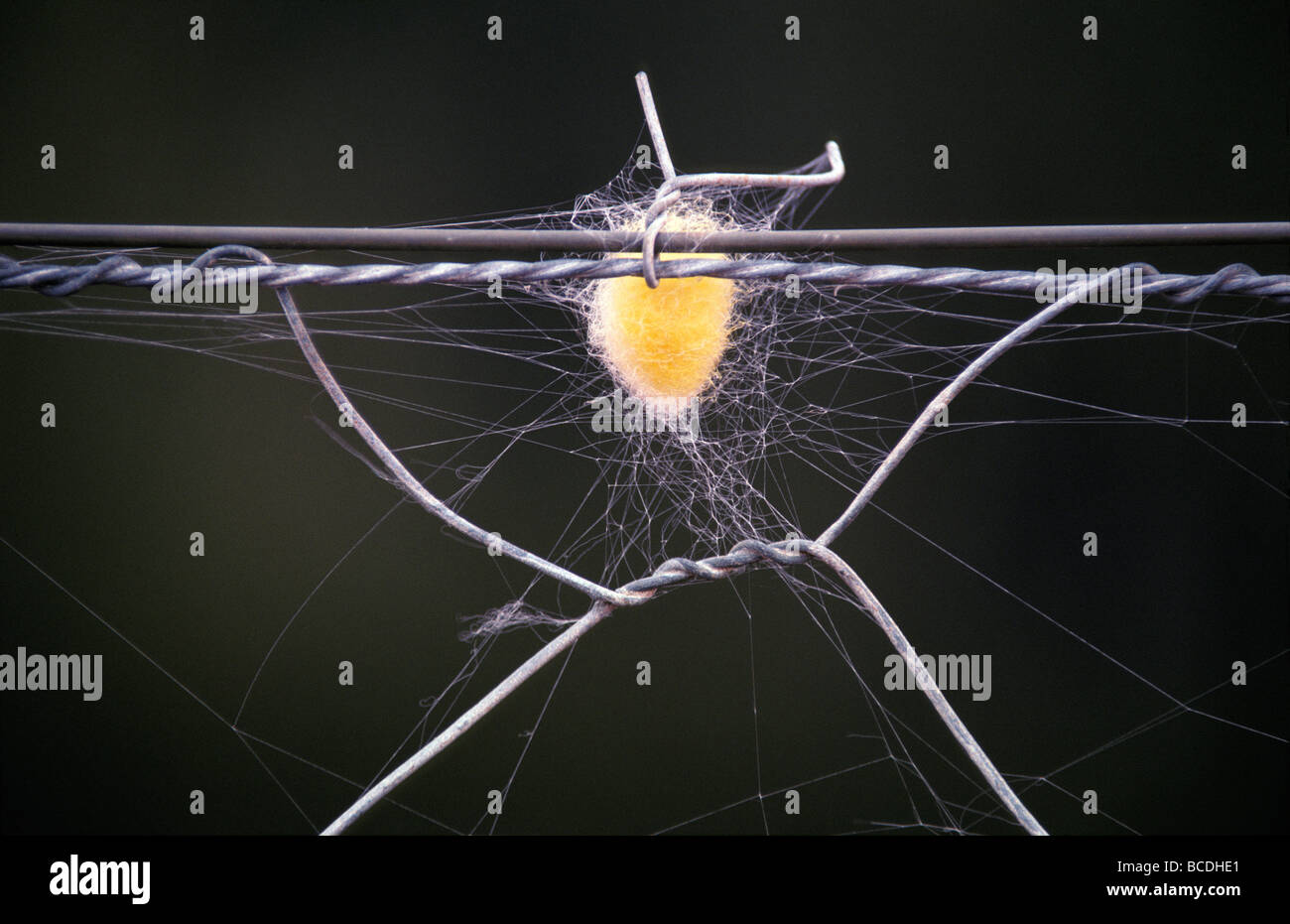 Cyclone wire hi-res stock photography and images - Alamy