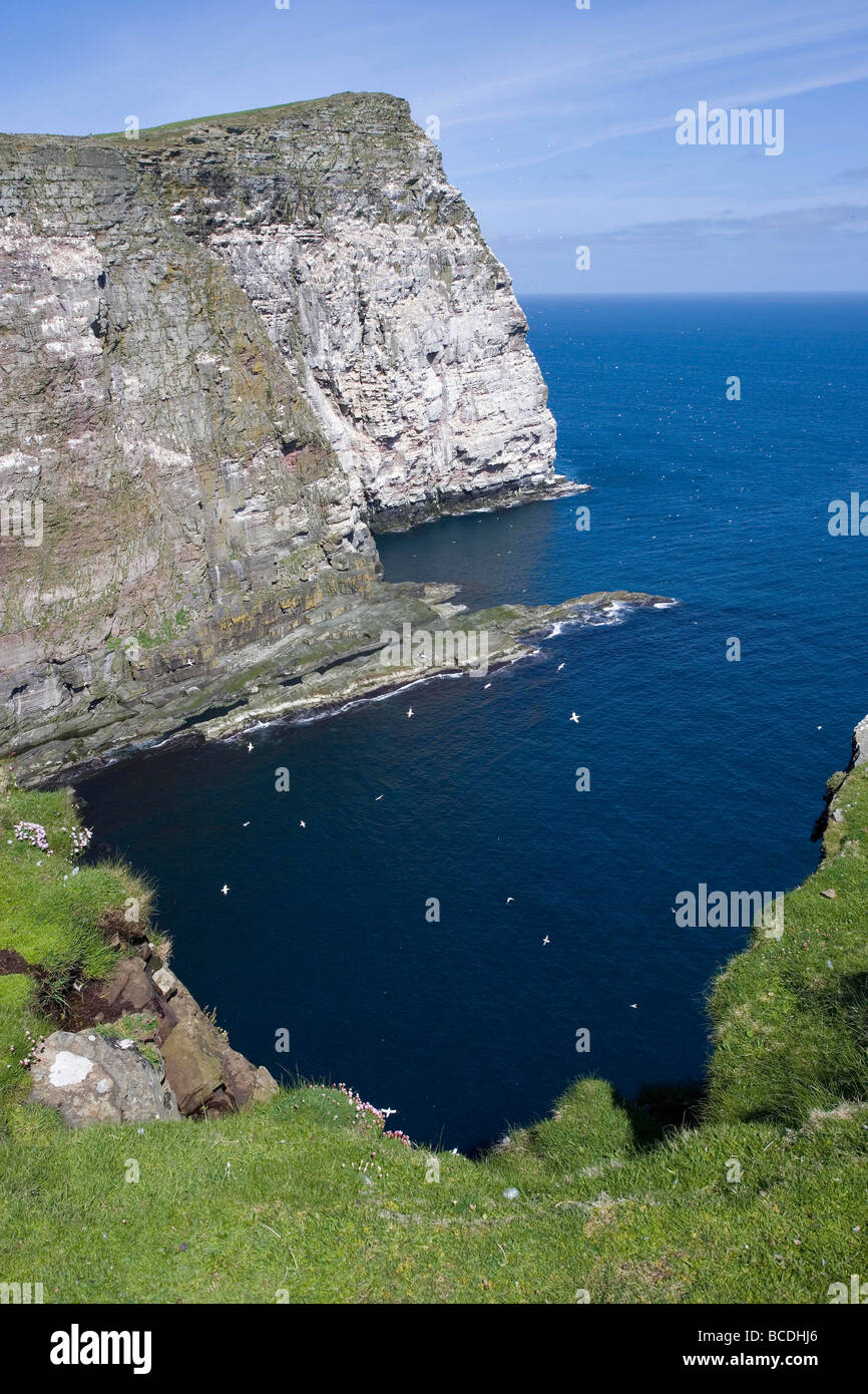 Noup of noss hi-res stock photography and images - Alamy
