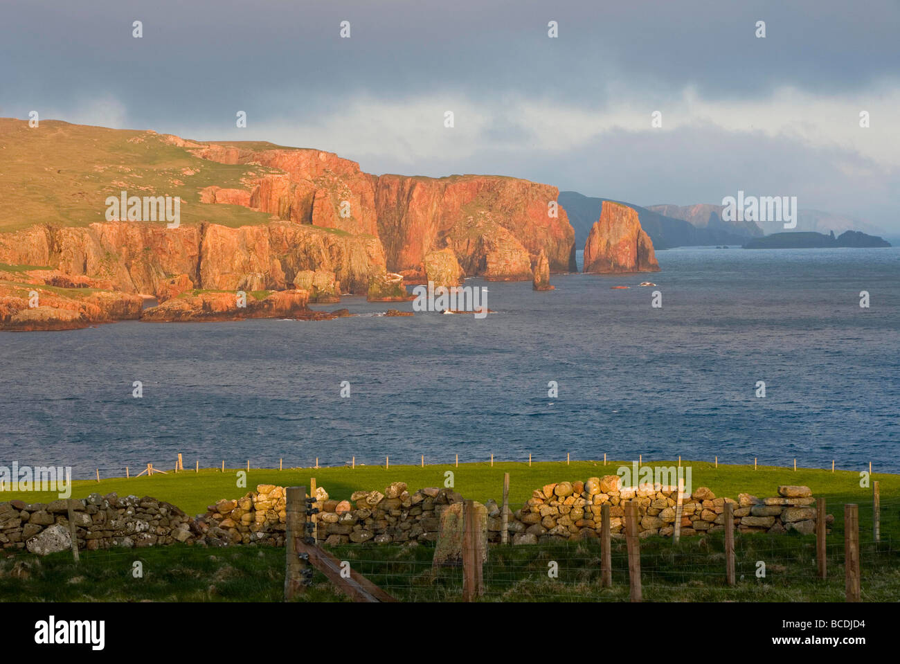 Cliffs at Braewick, Shetland Islands, UK Stock Photo - Alamy