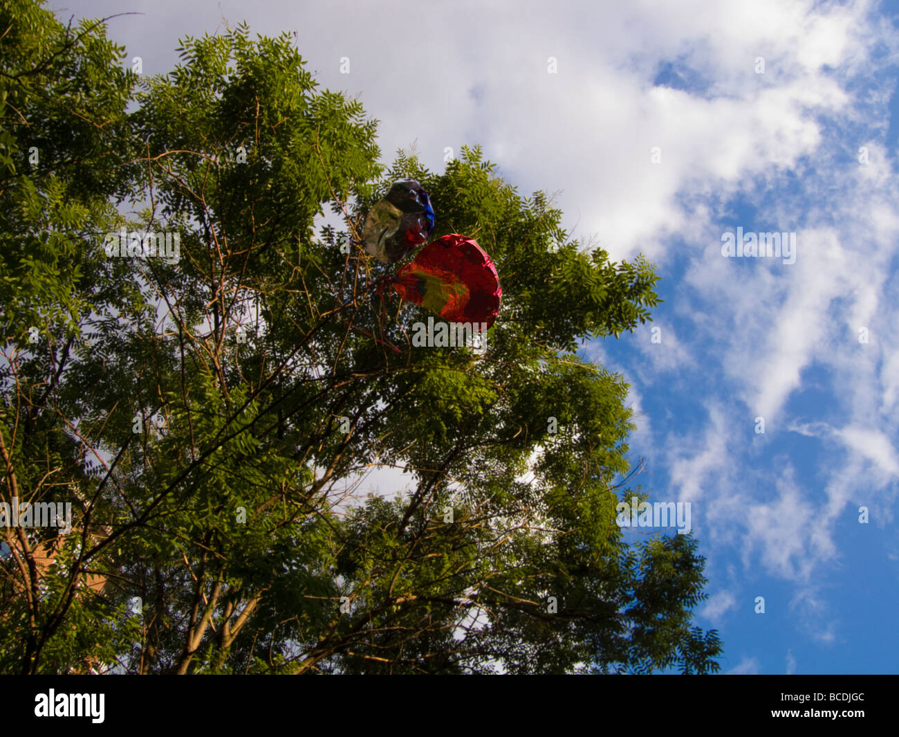 Happy birthday balloons hi-res stock photography and images - Alamy