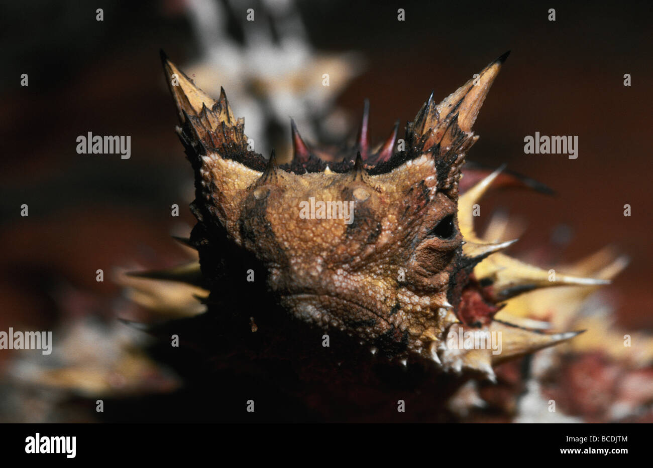 Frowning alien face hi-res stock photography and images - Alamy